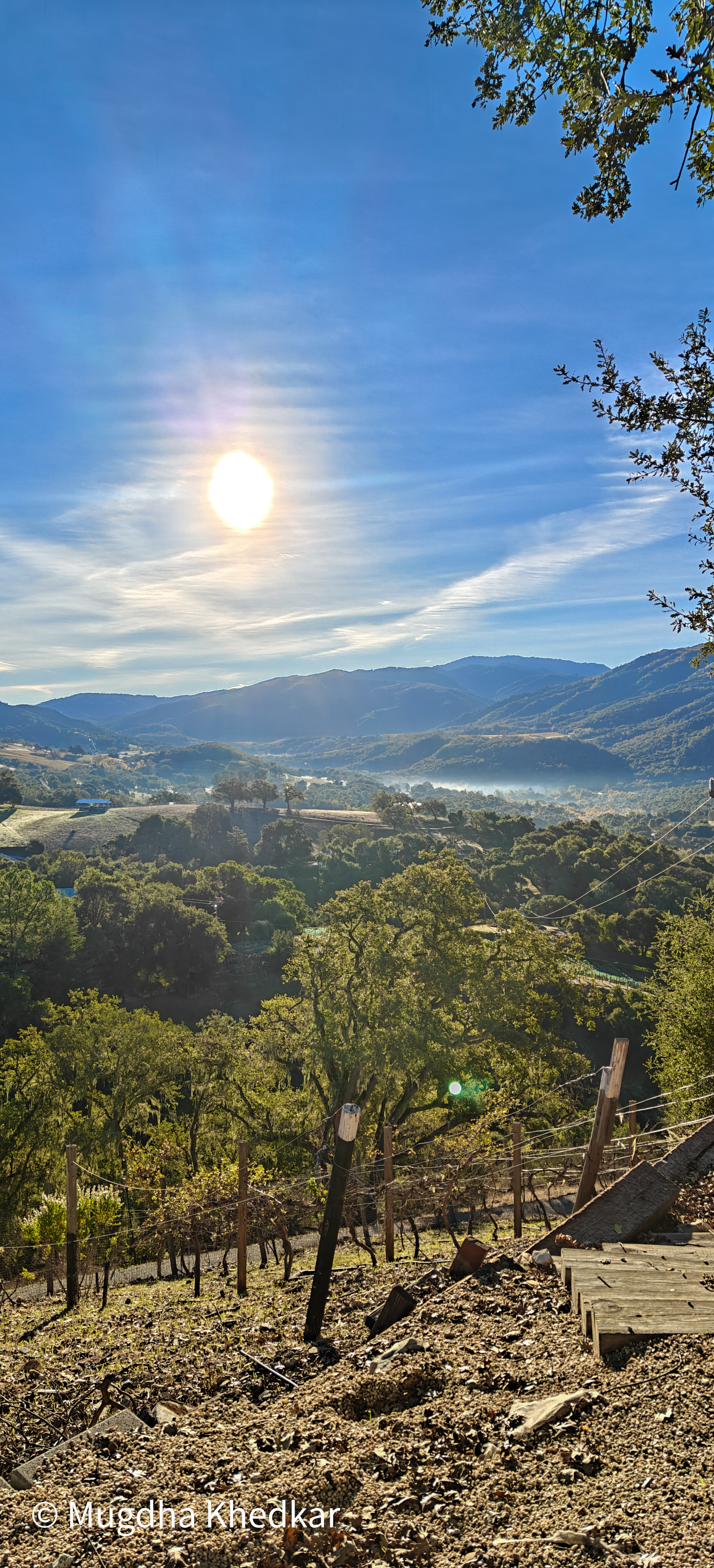 Camping - Mugdha Khedkar